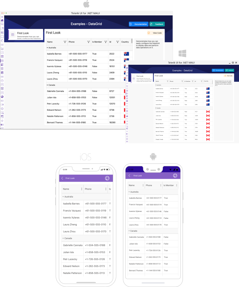  NET MAUI DataGrid Telerik UI For NET MAUI Visual Studio Marketplace